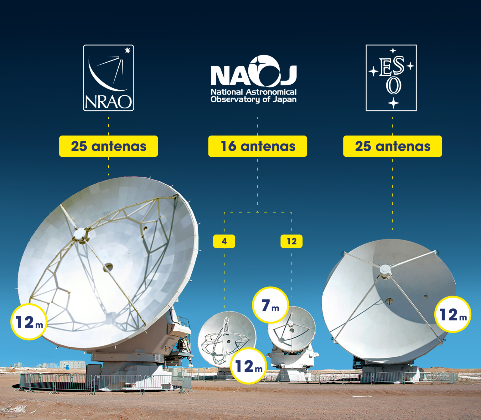 ¿Quién construye ALMA? | ALMA Kids